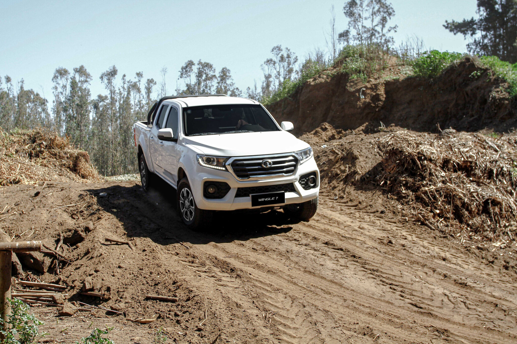 [+Video] Nueva Wingle 7 versión Gasolina - Revista de Transporte Terrestre