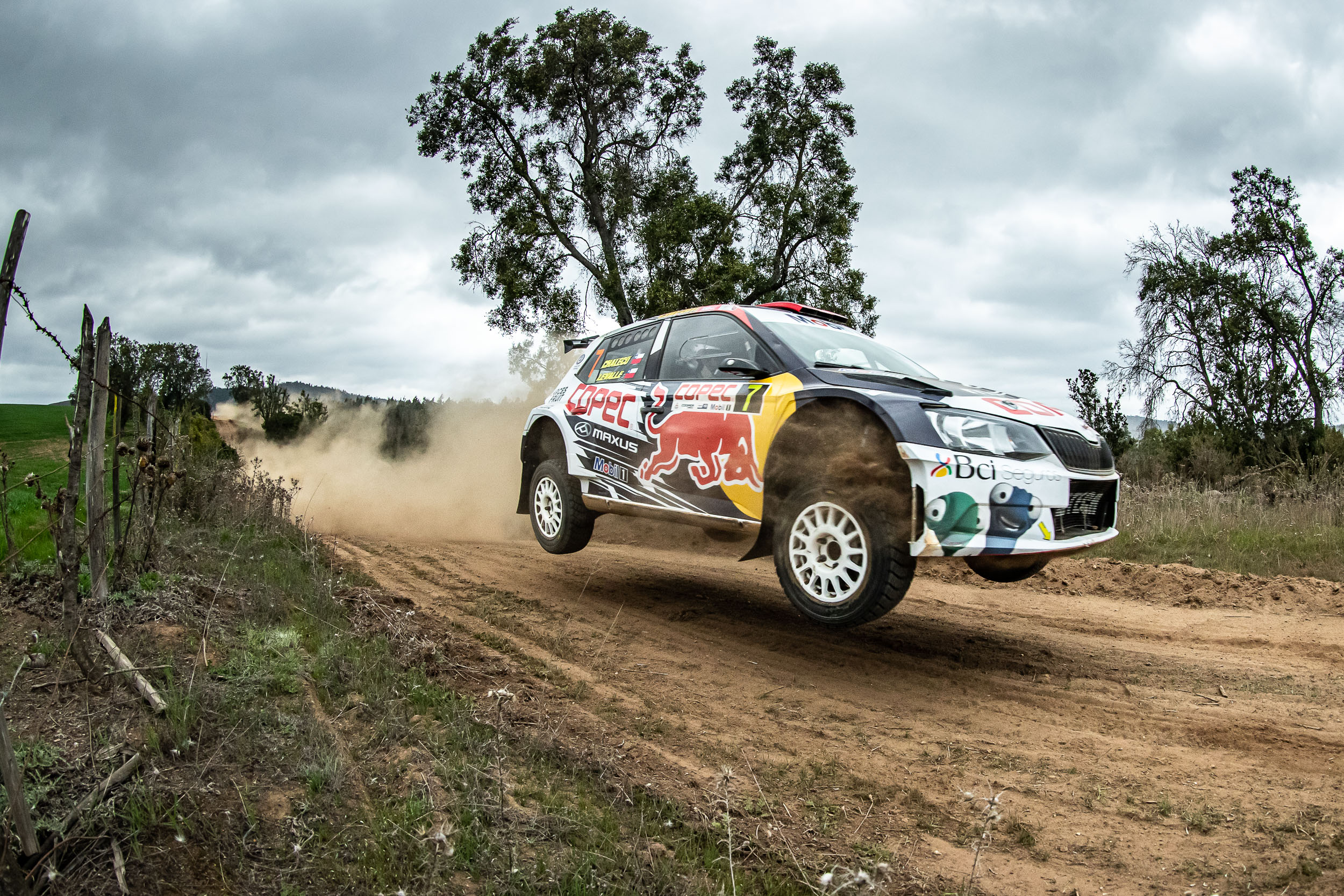Copec RallyMobil™ reordena fechas, aquí toda la información - Rtt ...